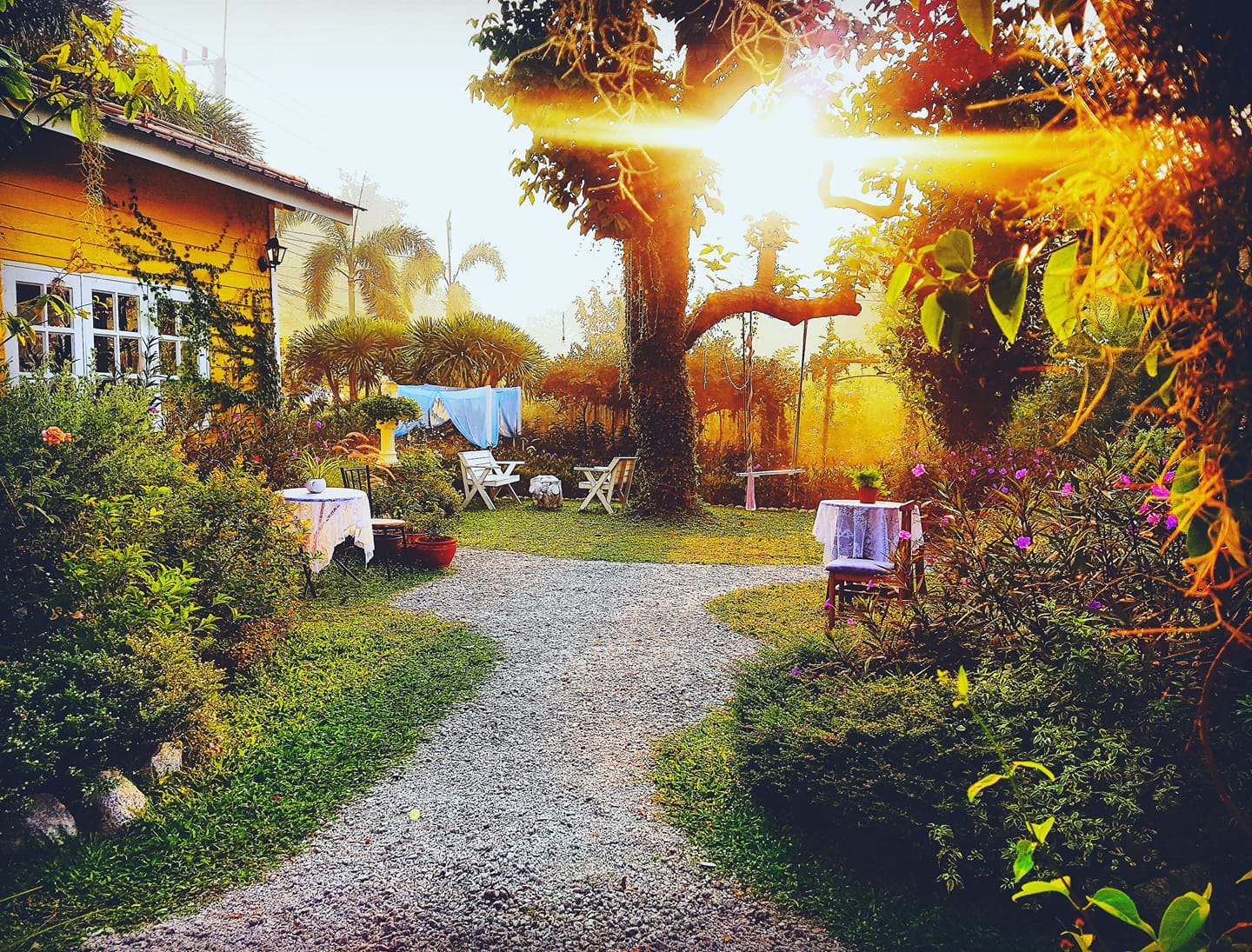 20 คาเฟ่ระยองน่านั่ง (ห่างๆ) บรรยากาศดี ถ่ายรูปก็ปัง เชิญมาลอง ระยองฮิ ...