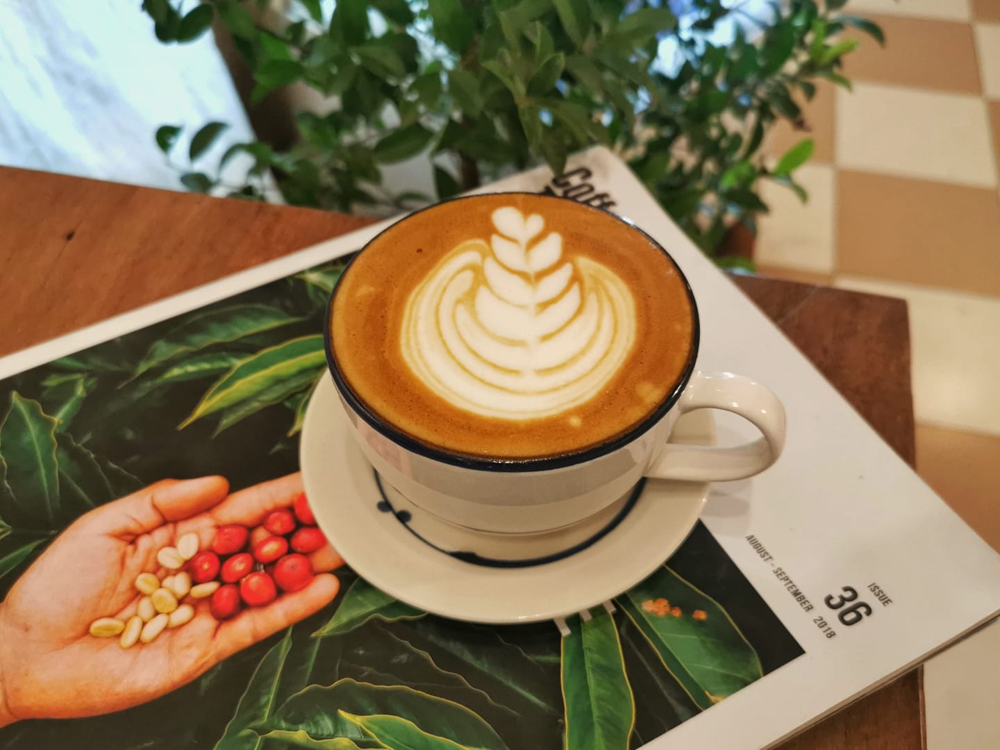 Deep coffee : Lamphun[Deep coffee : Lamphun] - Ryoii