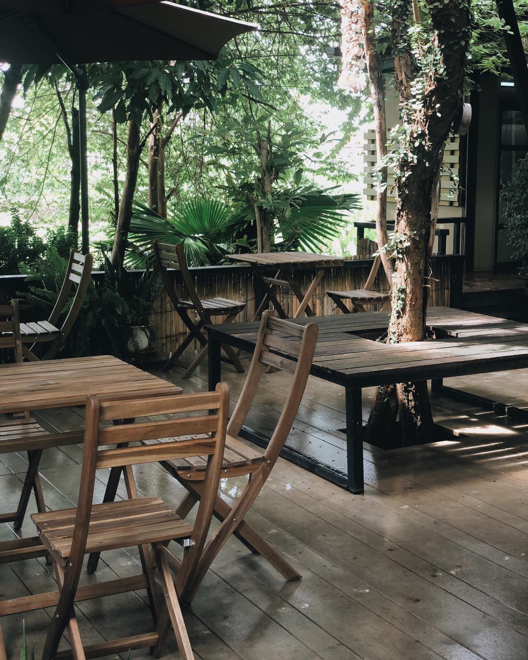 STAY WITH TREE cafe[STAY WITH TREE cafe] - Ryoii