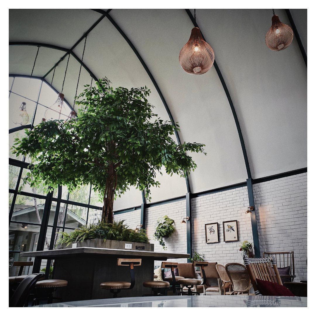 รวม 16 คาเฟ่ (Cafe) น่านั่ง บรรยากาศสุดชิลแบบ slow life แถม free wifi ...