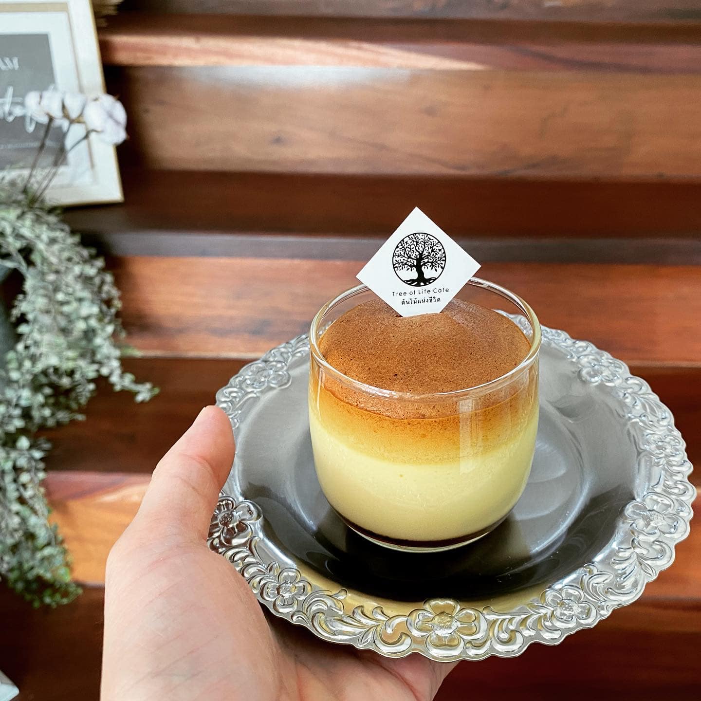 Tree of Life Cafe ต้นไม้แห่งชีวิต[Tree of Life Cafe ต้นไม้แห่งชีวิต ...