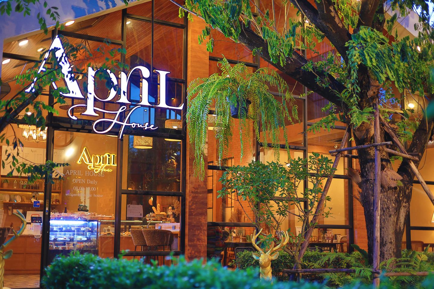 Aprilhouse café[Aprilhouse café] - Ryoii