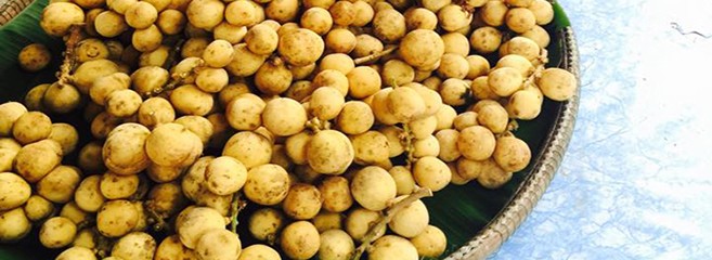 สวนยายดา - เจ๊บุญชื่น[Suan Yai Da] - Ryoii