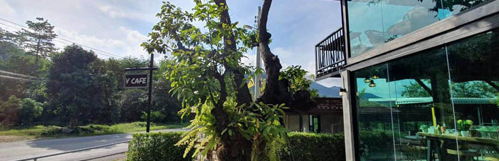 V coffee & eatery - v cafe[V coffee & eatery - v cafe] - Ryoii