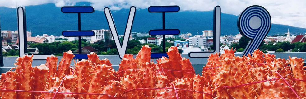 Level 9 Rooftop Bar[Level 9 Rooftop Bar] - Ryoii