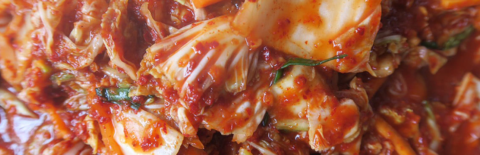 Mr.K Kimchi[Mr.K Kimchi] - Ryoii