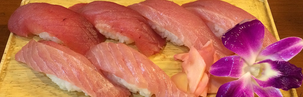 Asami Japanese Restaurant[Asami Japanese Restaurant] - Ryoii