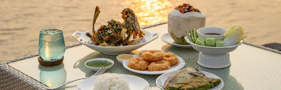 The Tara Bar&Restaurant[The Tara Bar&Restaurant] - Ryoii