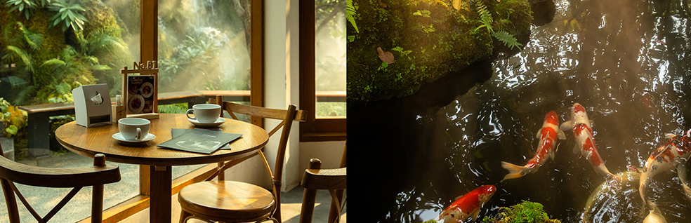 Chom Cafe and Restaurant[Chom Cafe and Restaurant] - Ryoii