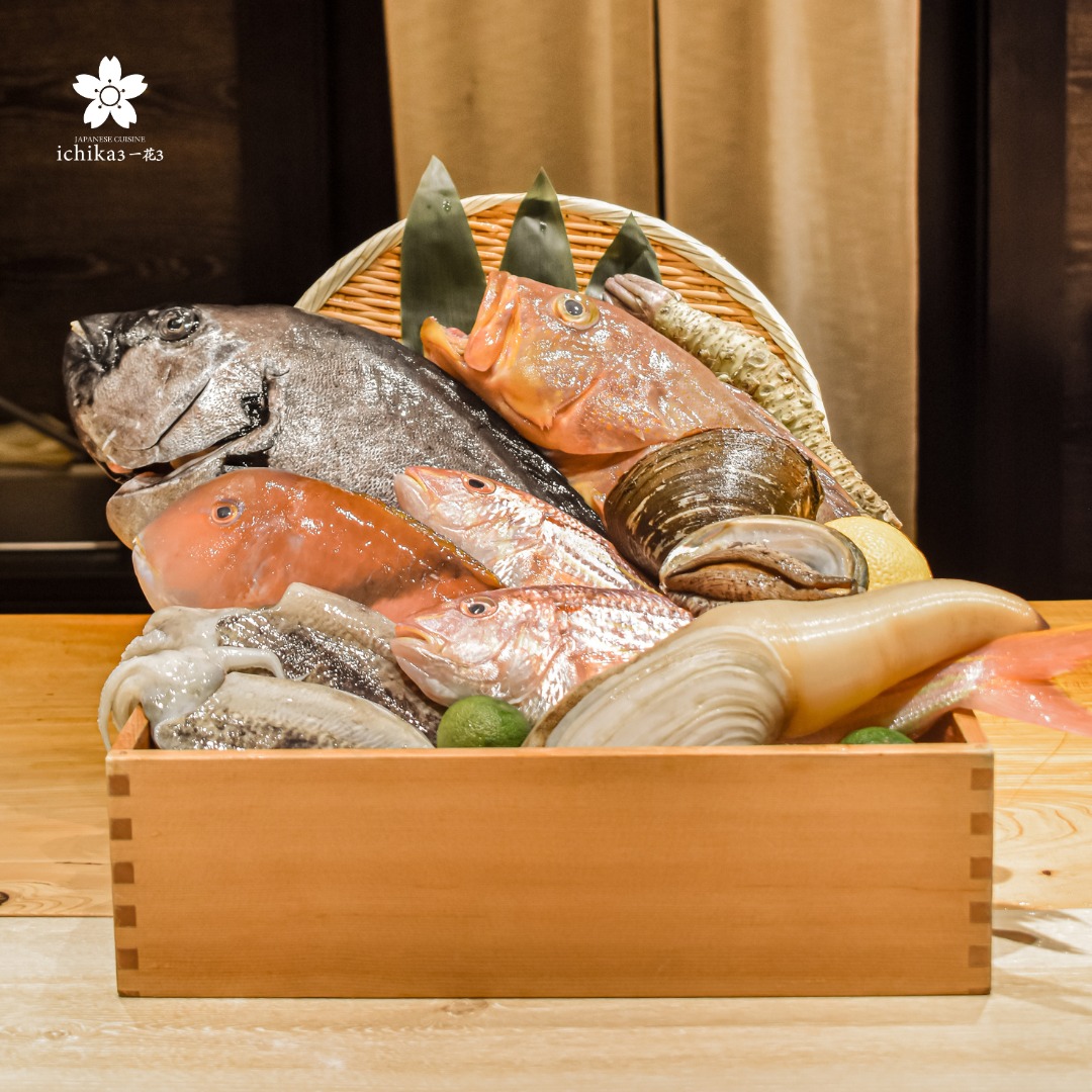 Ichika Omakase[Ichika Omakase] - Ryoii